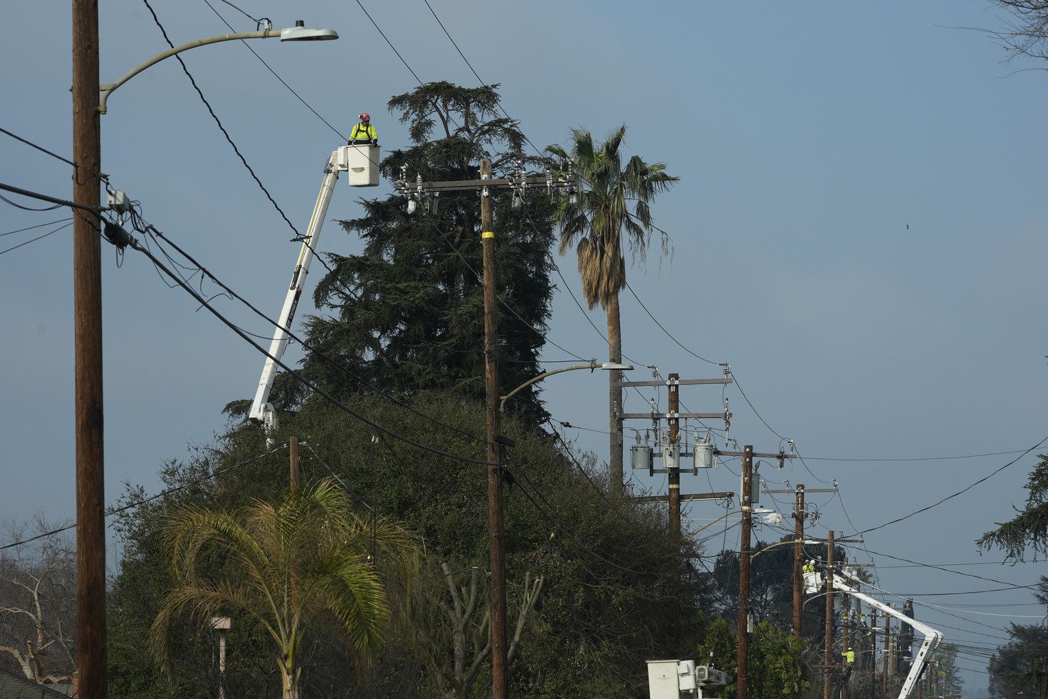 Meredith Fowlie on California’s Costly Complicated Push to Bury Power ...